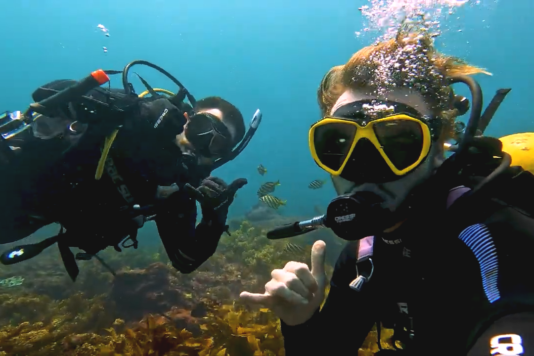 WESTERN AUSTRALIA - Intrepid World